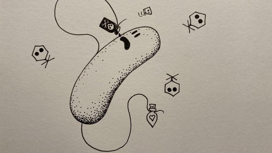 Newly discovered toxin-antitoxin system abundant in one-cell organisms ...