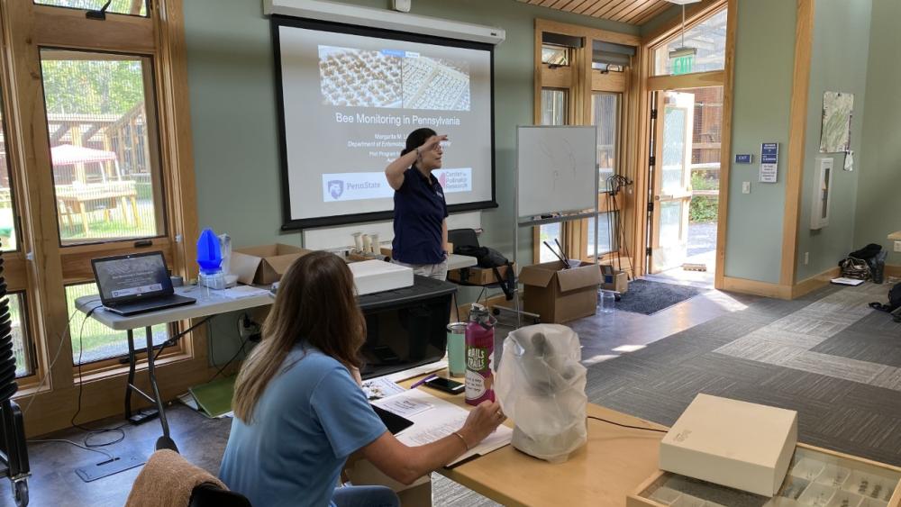 Penn State Extension Master Gardeners support bee-monitoring project in ...