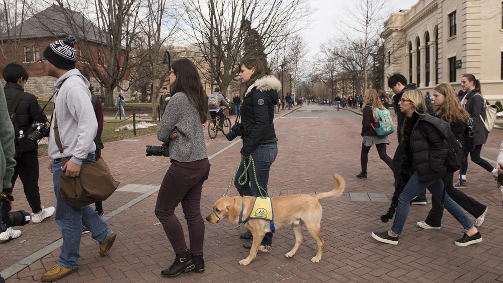 Canine classmate gains socialization skills during week on campus ...