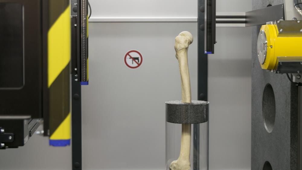 Researchers use IT to unlock the mysteries of human evolution | Penn ...