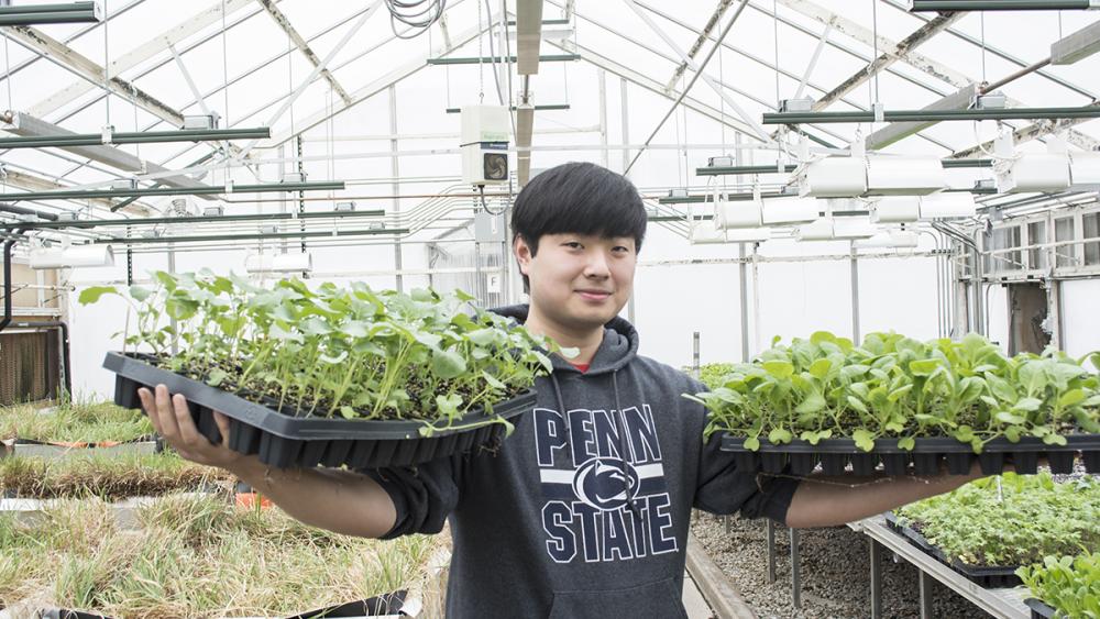 Nutritional sciences student to work at Penn State Student Farm this ...