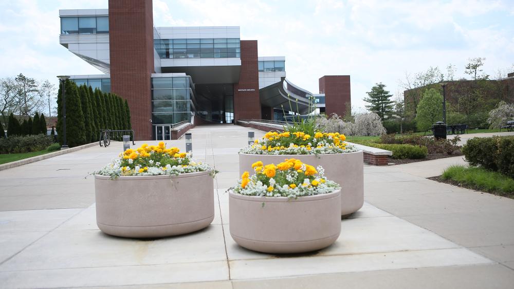 Program to introduce undergrad researchers to machine learning in ...