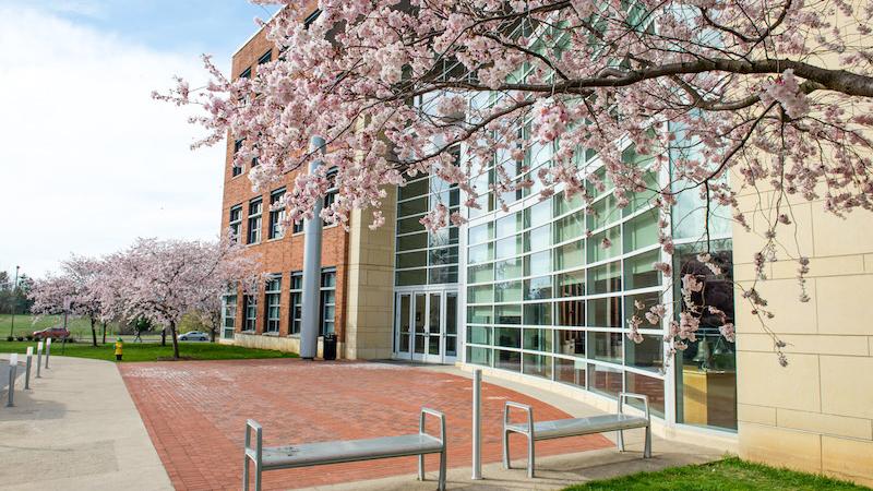 Penn State Smeal adds two STEM master's in corporate finance, real ...