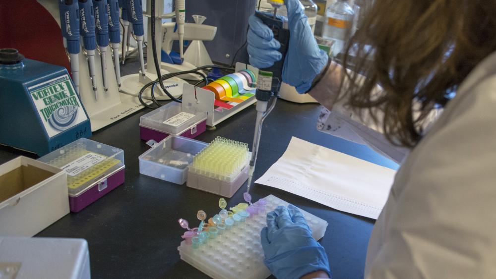 Program gives high school students chance to do hands-on lab work with ...