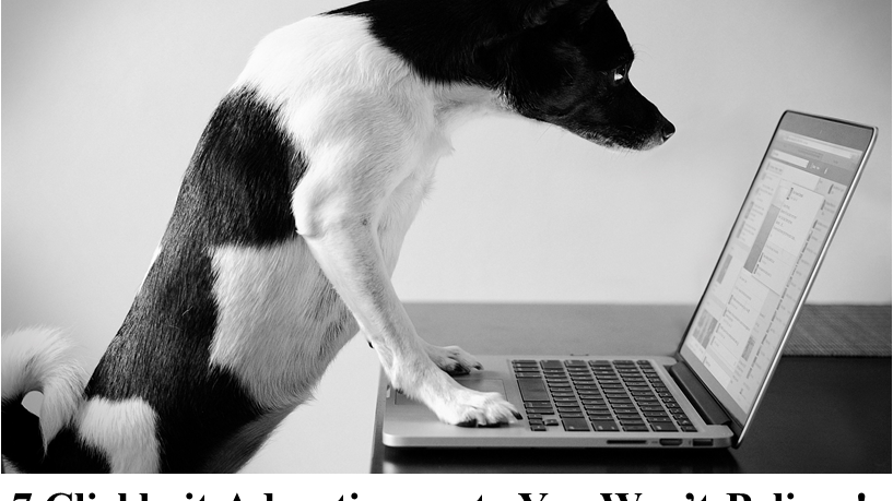 Clickbait Secrets Exposed! Humans and AI team up to improve clickbait ...