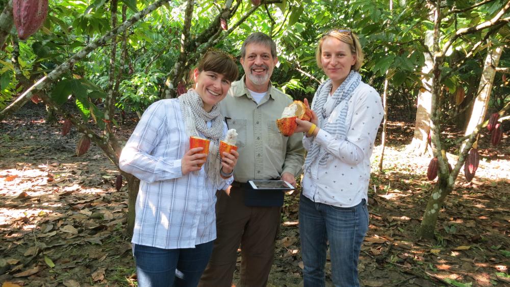 Research aims to help cacao producers, chocolate makers boost profits ...