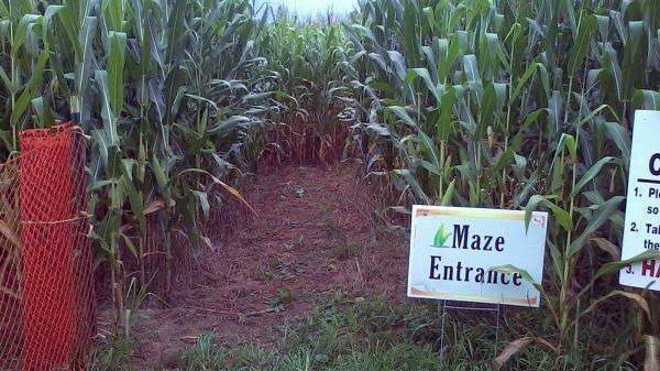 Hay competition, conservation education among Ag Progress Days ...