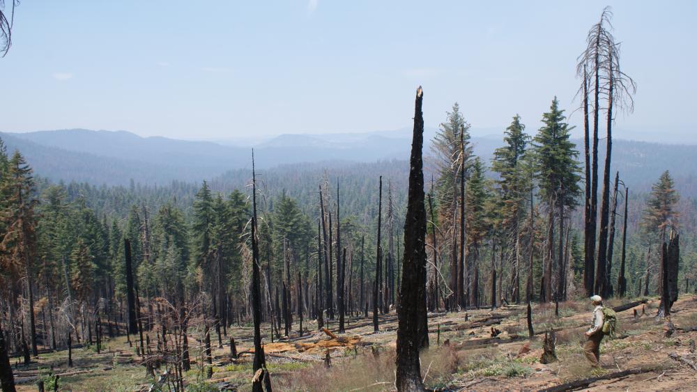 Yosemite forest fire example of possible things to come | Penn State ...