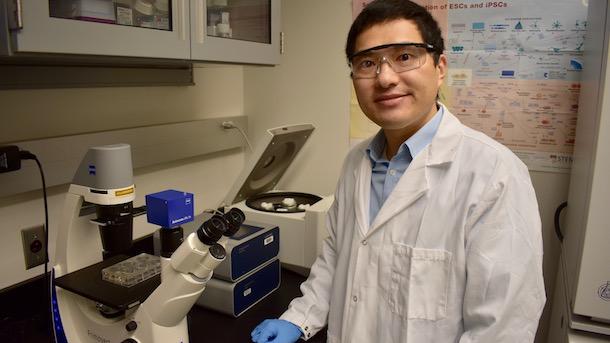Penn State researcher receives a Rising Star Award in biomedical ...
