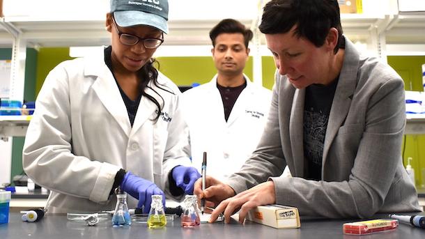 Professor of Biomedical Engineering Deb Kelly hopes to 'outsmart breast ...