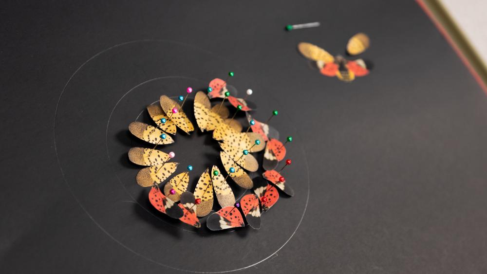 Campus Arts Initiative showcases project proposals in Borland Project ...