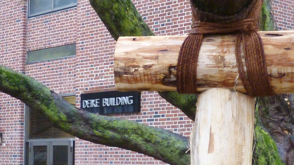 Penn State heritage tree gains international support | Penn State ...