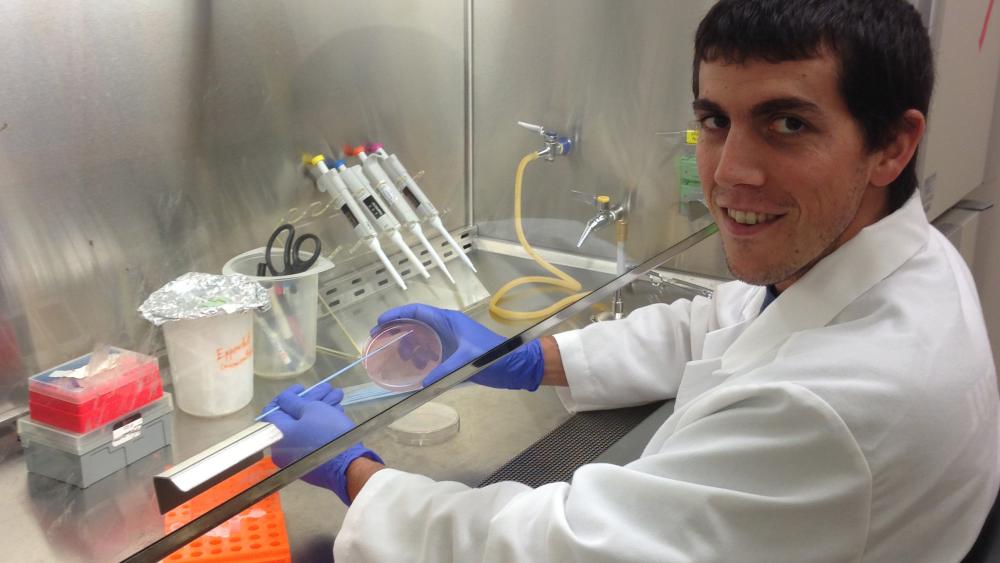 Researchers track antibiotic-resistant strains of Salmonella from farm ...