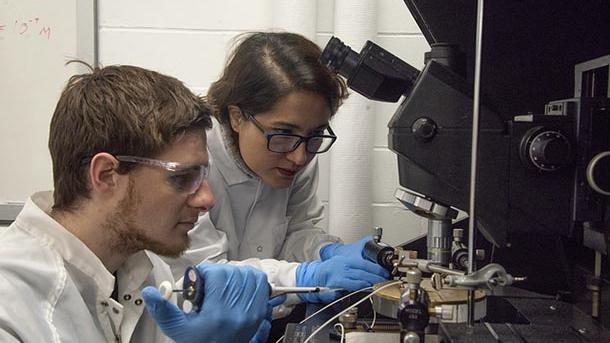 Interdisciplinary researchers join forces to understand cancer ...