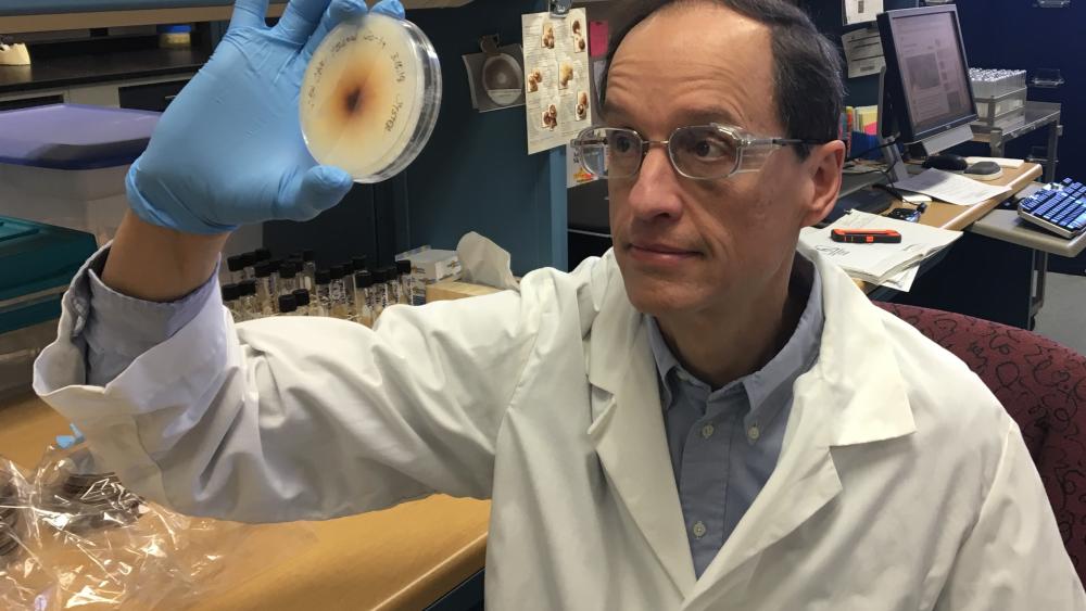 'A fungus among us': Penn State Mushroom Spawn Lab aids industry | Penn ...