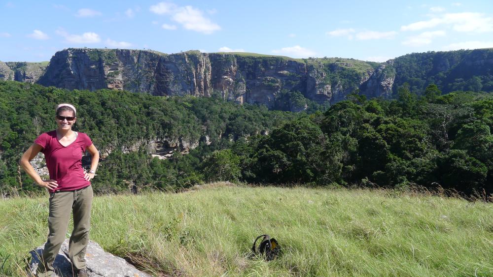 Professor awarded Fulbright to study tree carbon storage, teach in ...
