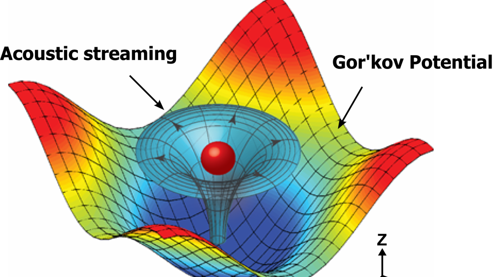 Acoustic tweezers move cells in three dimensions, build structures ...