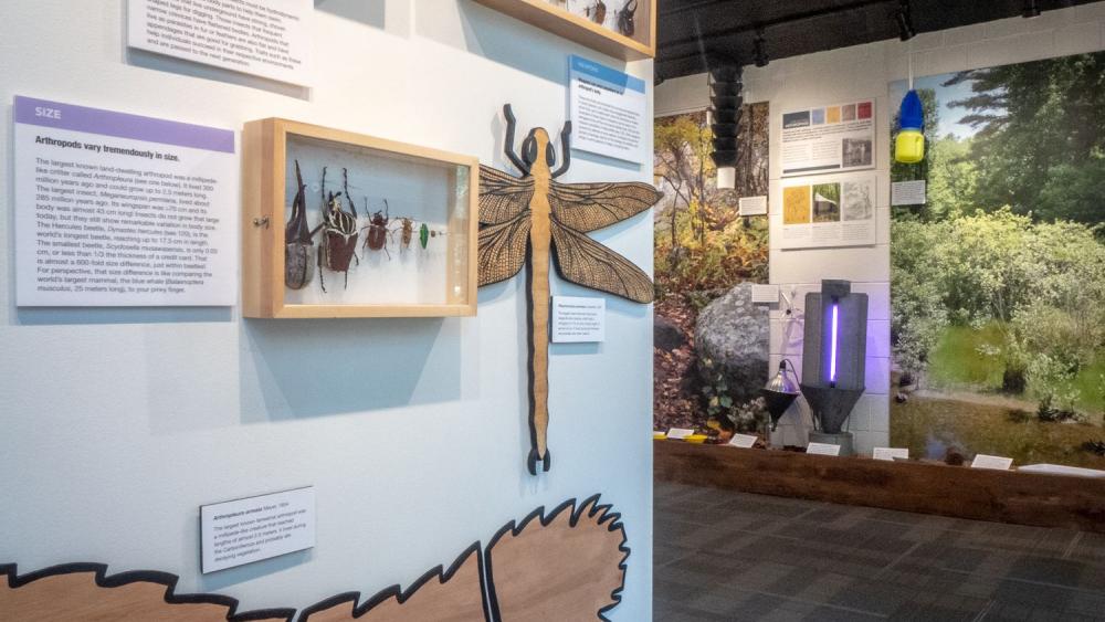 Frost Entomological Museum reopens after renovations, renewal | Penn ...