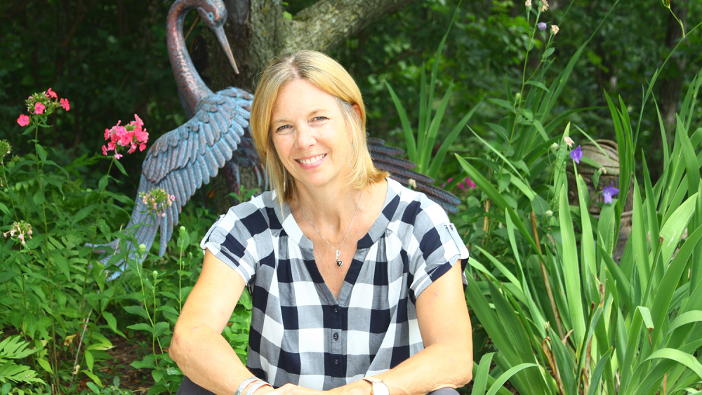 Geodesign graduate program adds longtime educator and specialist to ...