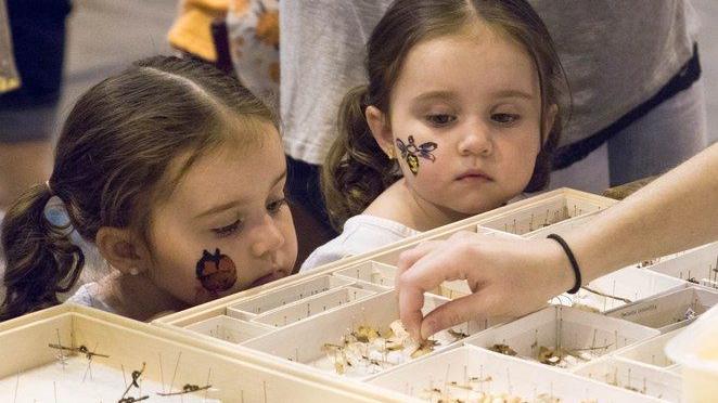 Penn State's Great Insect Fair celebrates insects in pop culture | Penn ...