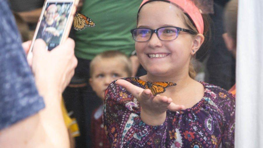 Penn State's Great Insect Fair imagines a world without bugs | Penn ...