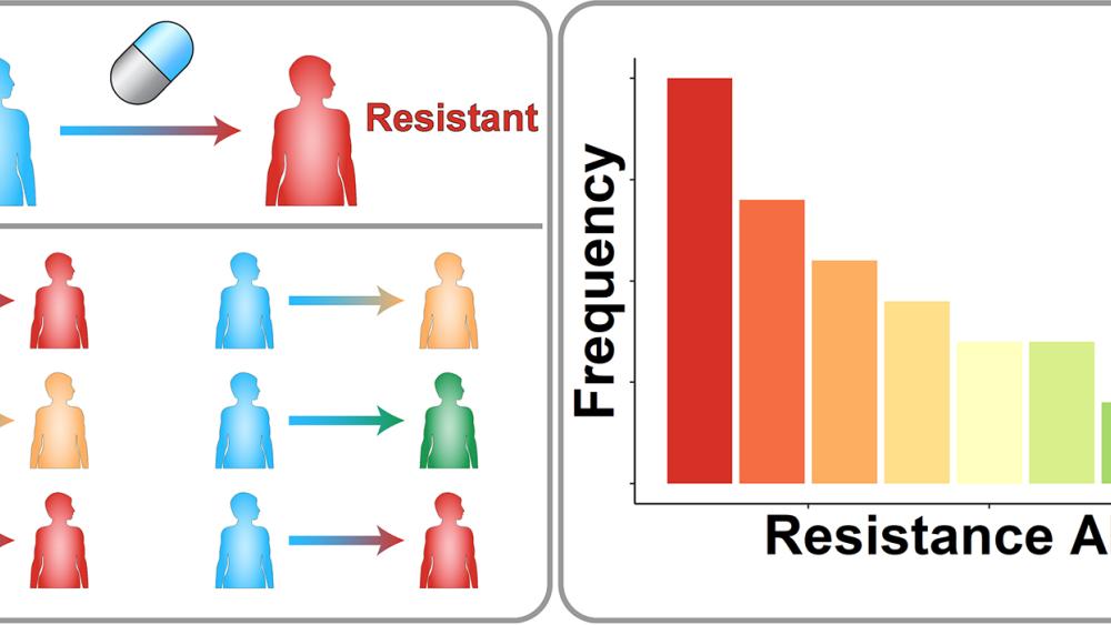 Engineers model mutations causing drug resistance | Penn State University