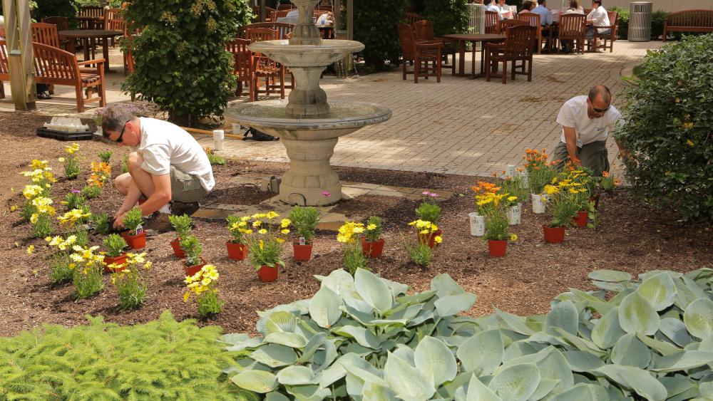 Medical Center earns accreditation for grounds management practices ...