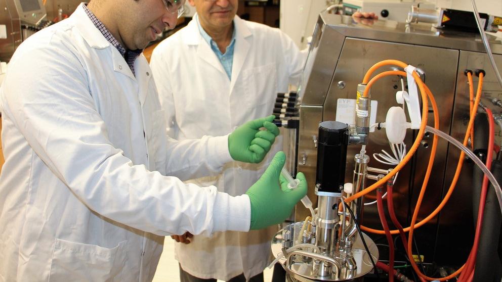 Grants move College of Ag Sciences research toward commercialization ...