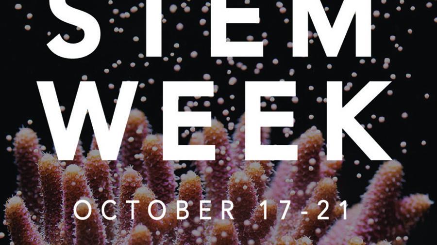 STEM Week to spotlight scholarship, fellowship opportunities | Penn ...