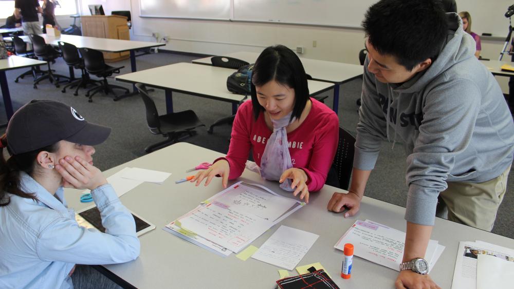 Graduate students learn real-world problem-solving through interaction ...