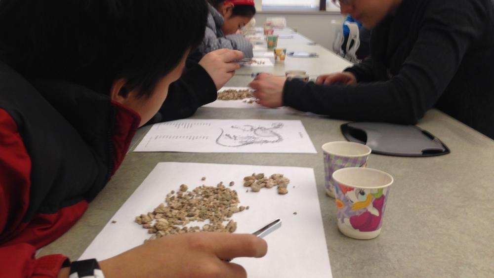 Elementary students dig in to Shake, Rattle & Rocks event | Penn State ...