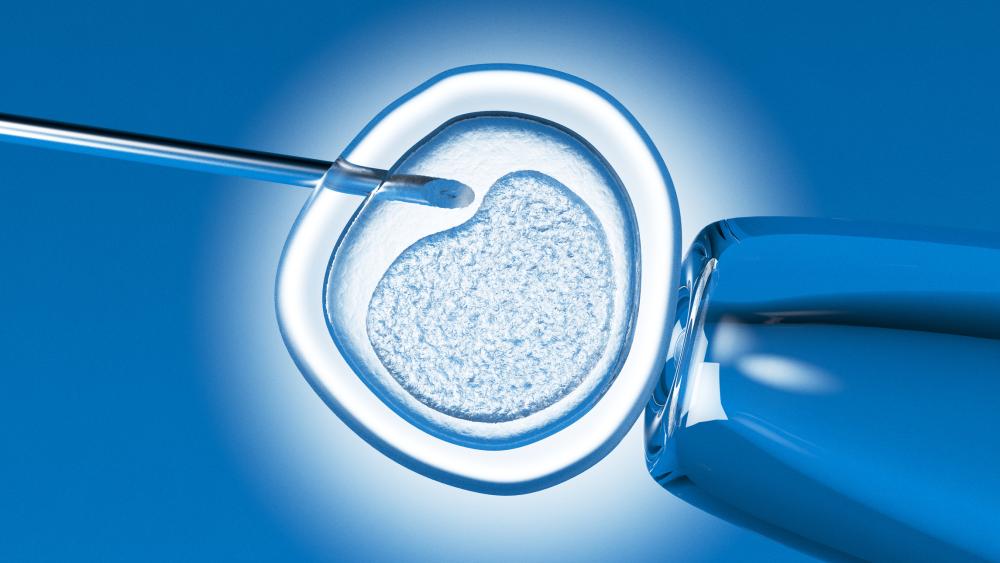 Both fresh and frozen embryos offer similar chances of baby after IVF ...