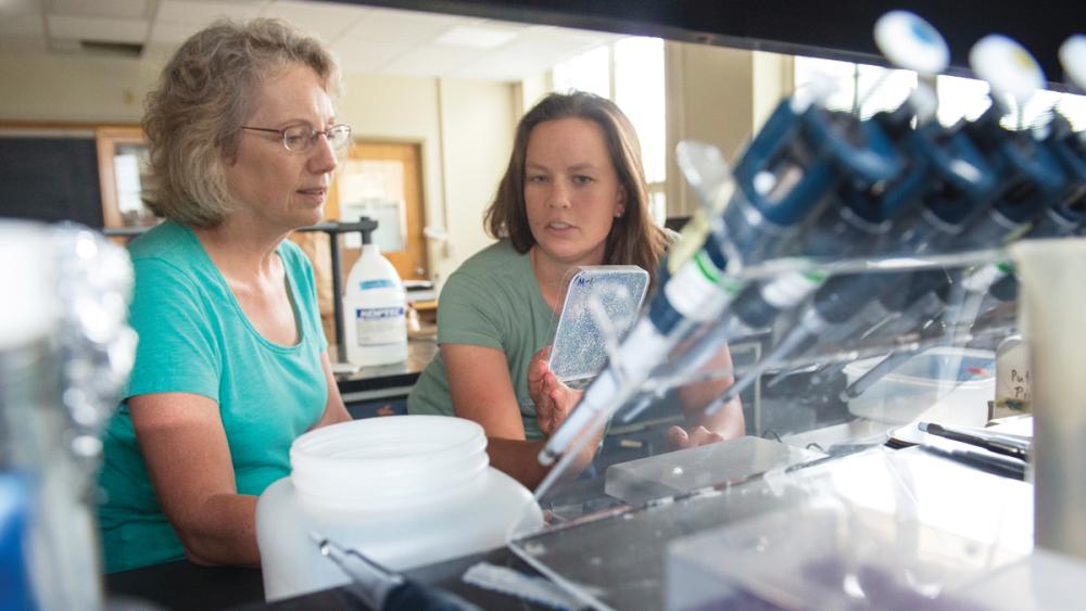 After 41-year Penn State career, plant science professor Kathleen Brown ...