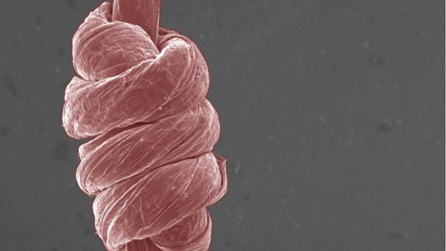 Super-stretchable yarn is made of graphene | Penn State University