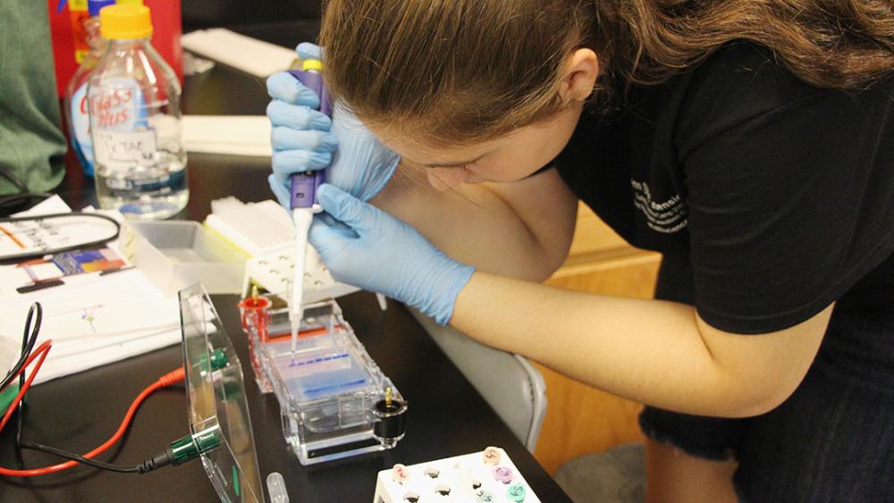 Penn State Lewistown Center adds new equipment to Health and Science ...