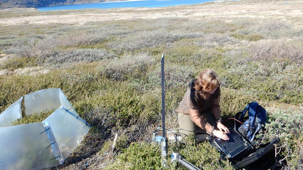 Research suggests climate change affecting plants above ground more ...