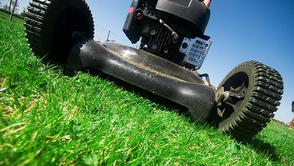 The Medical Minute: Preventing lawn mower injuries in children | Penn ...