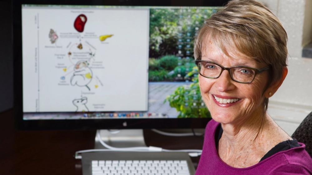 Symposium focuses on families and food, honors late colleague Leann ...