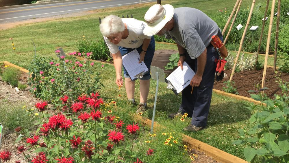 Penn State Master Gardener programs promote pollinator populations ...