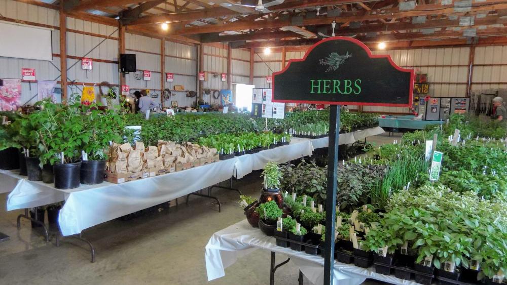 Penn State Extension Master Gardeners present annual plant sale on May ...