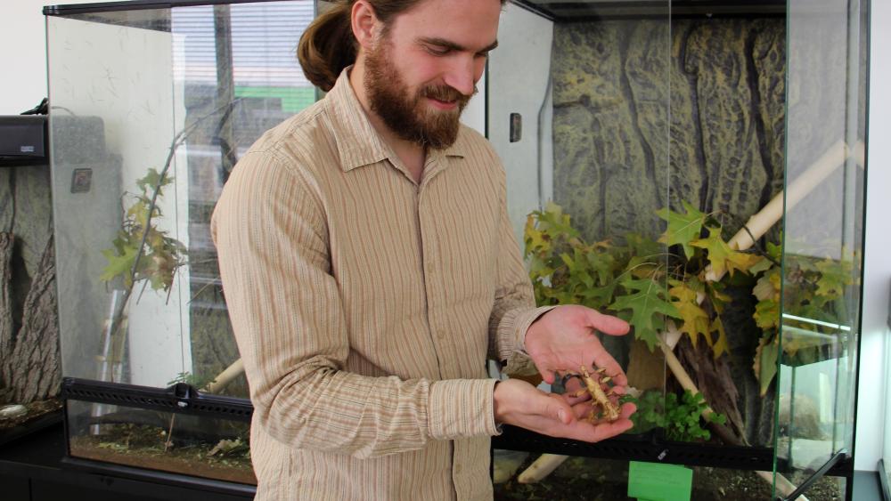 Penn State Department of Entomology offers insect identification ...