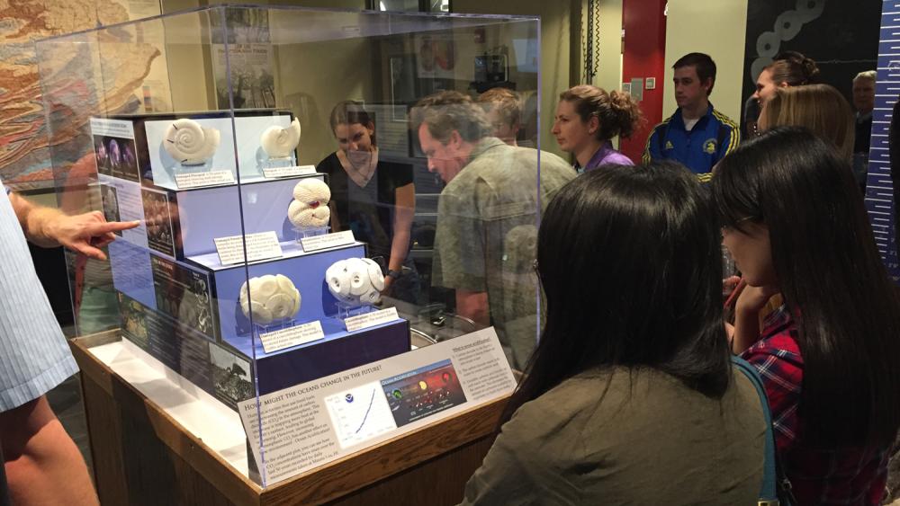 EMS Museum and Art Gallery extends hours for Ohio State, other football ...