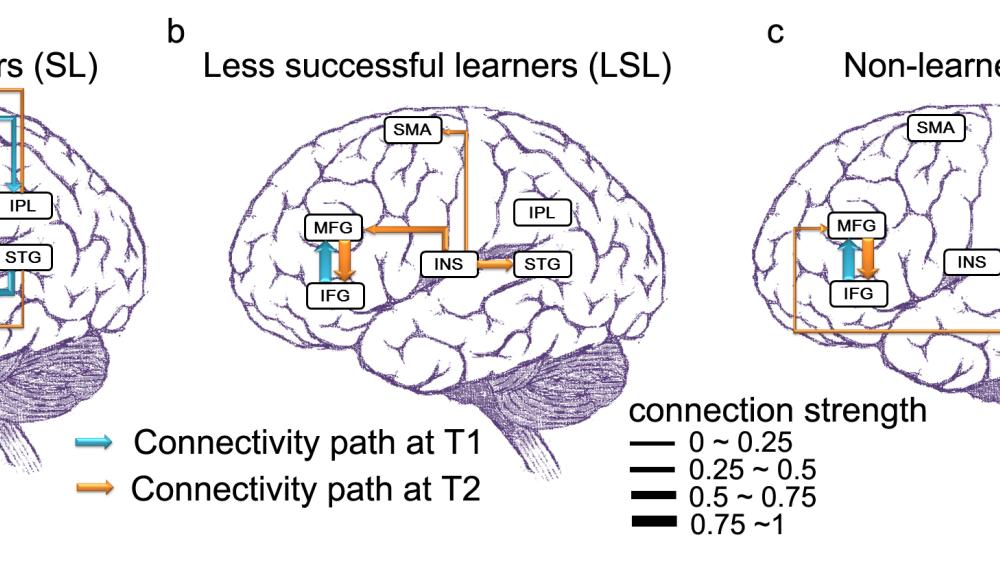 Learning languages is a workout for brains, both young and old | Penn ...