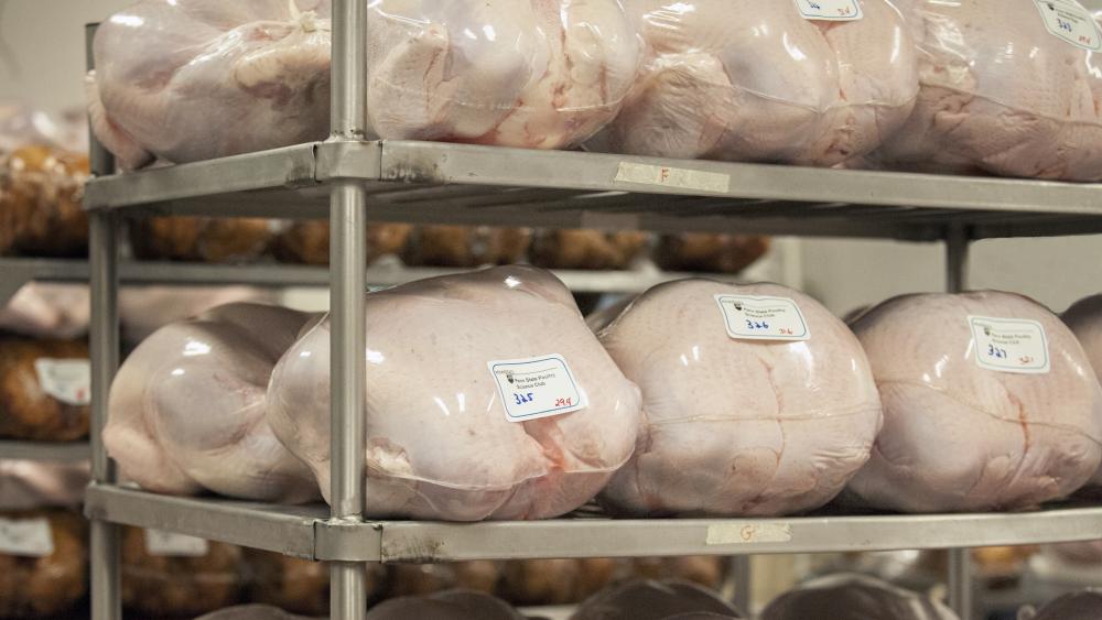 Penn State Poultry Science Club hosts annual turkey sale | Penn State ...