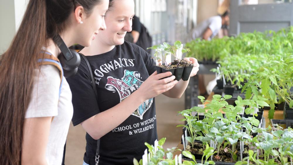 Ross Student Farms at Penn State host Summer Plant Sale | Penn State ...