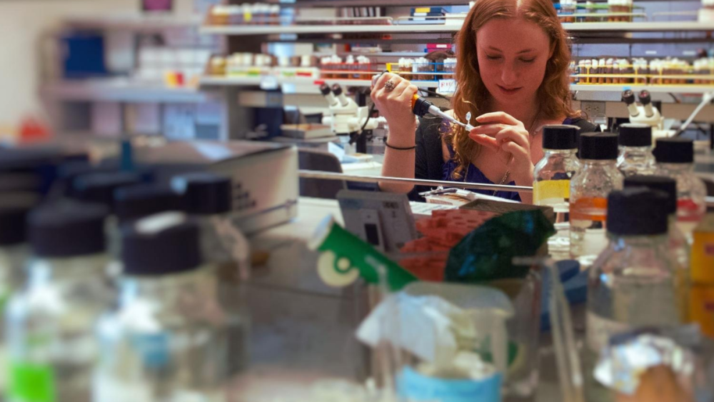 10 new biotechnologies revealed at inaugural Penn State BioTech ...