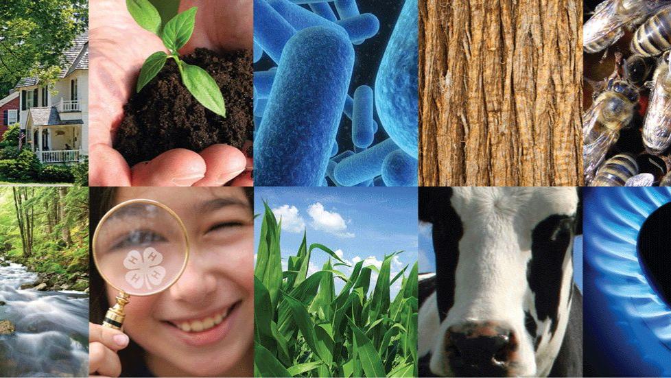 Penn State Extension adapts, remains a resource during coronavirus ...