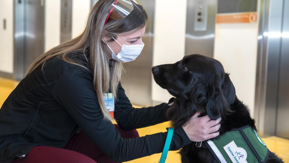 Facility dog 'Pilot' lands at Penn State Children’s Hospital | Penn ...