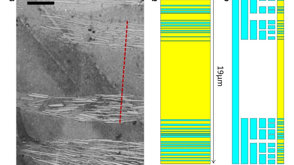 Shiny fish skin inspires nanoscale light reflectors | Penn State University