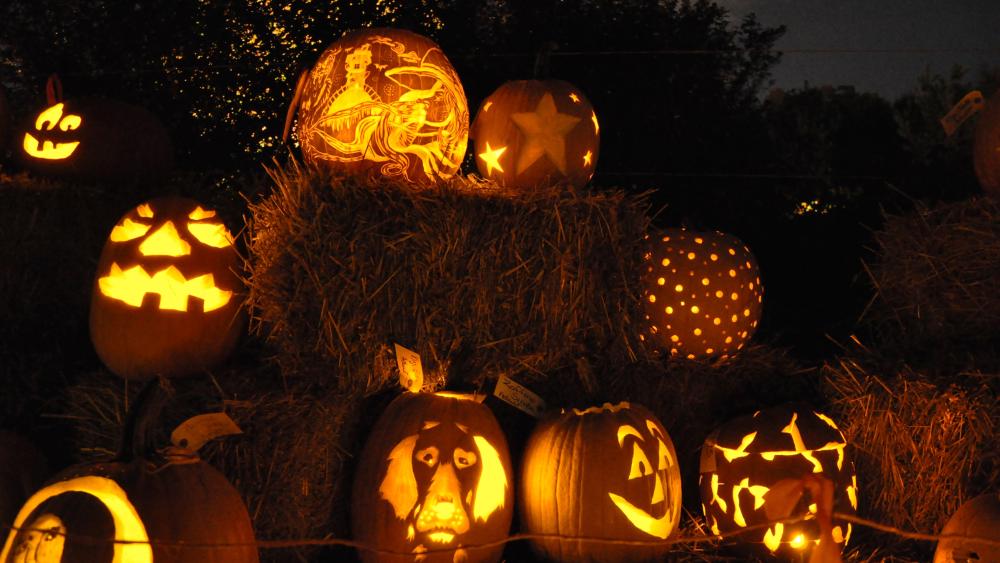 Things to Do at Penn State: Oct. 10-17 | Penn State University
